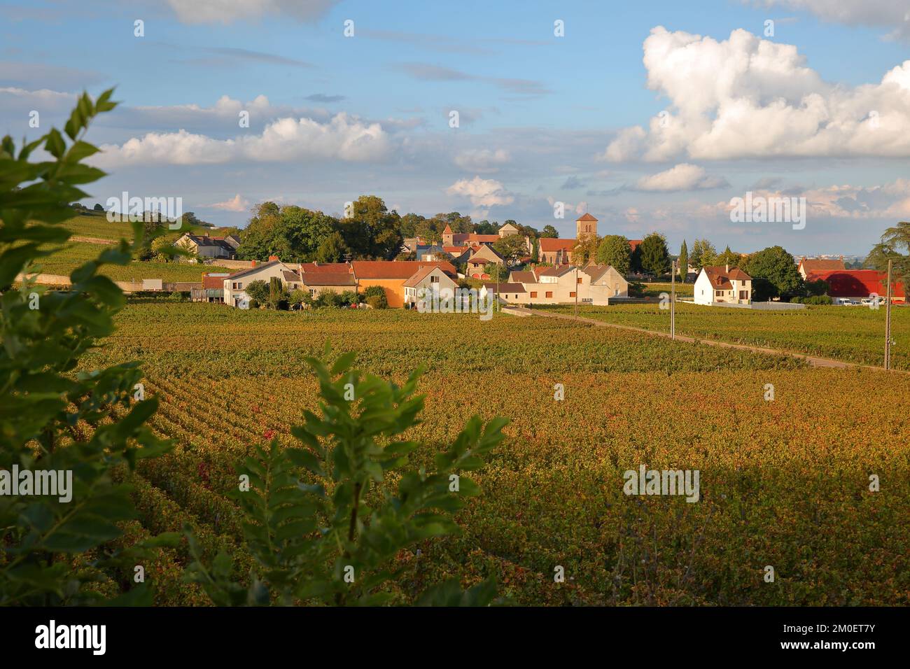 The vineyards and the village of Gevrey Chambertin, Burgundy, France ...