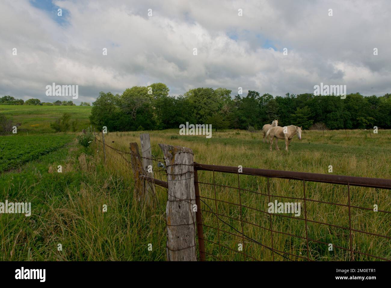 Office of the Administrator - Columbia Farm - landscape photographs ...