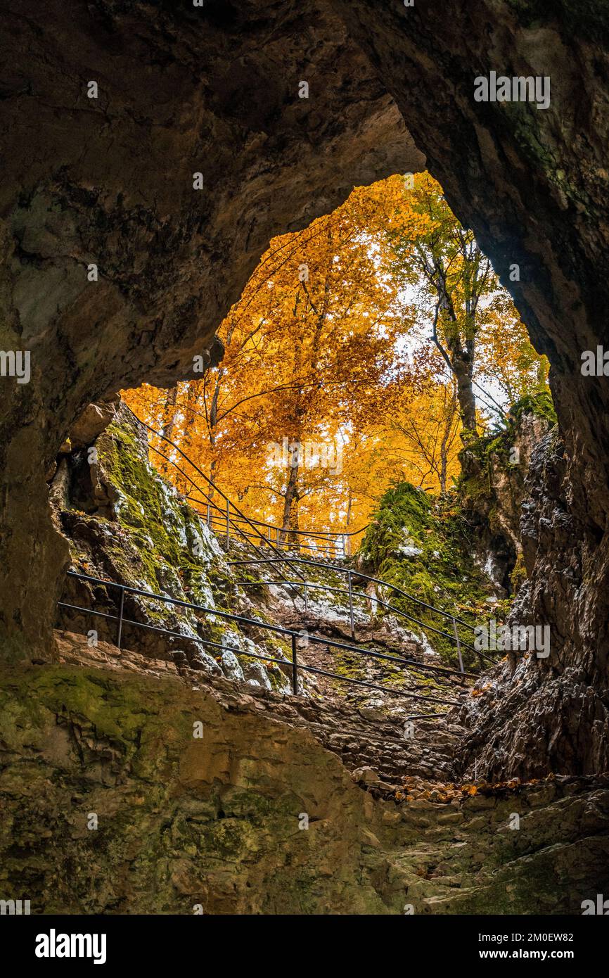 A vertical shot from a cave at Plitvice Lakes national park in Croatia ...