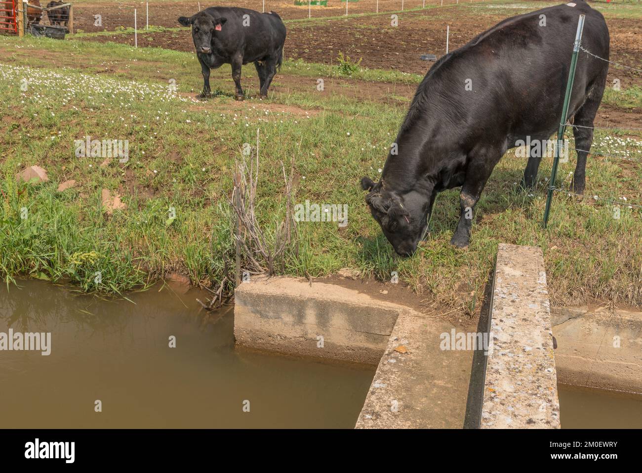 Regions - Farm Tour Images - Highland Ditch Company and with the Rocky ...