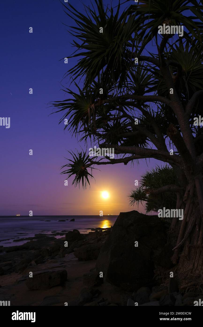 A beautiful seascape view with calm sea water surrounded by tropical ...