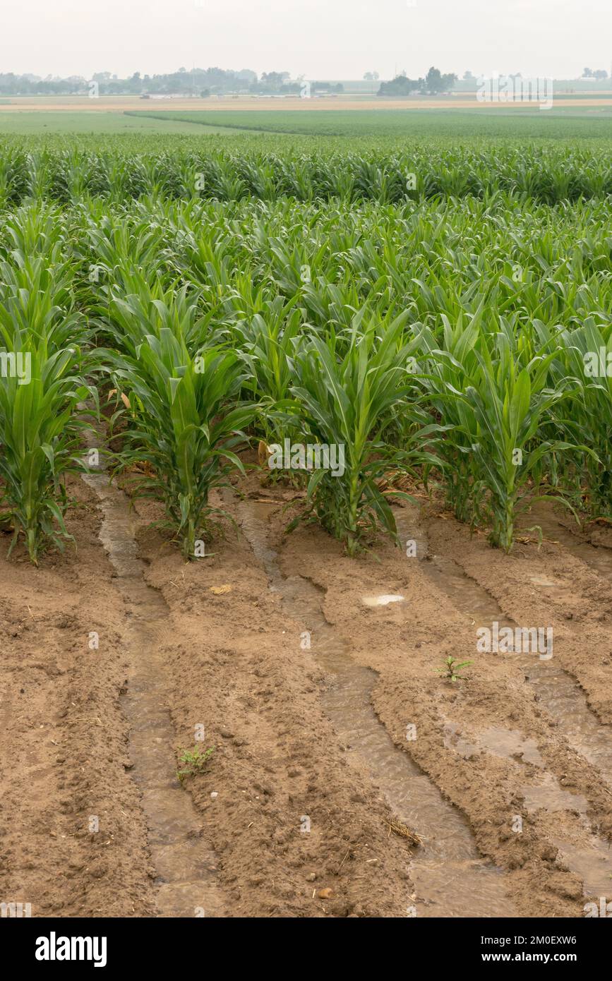 Regions - Farm Tour Images - Highland Ditch Company and with the Rocky ...