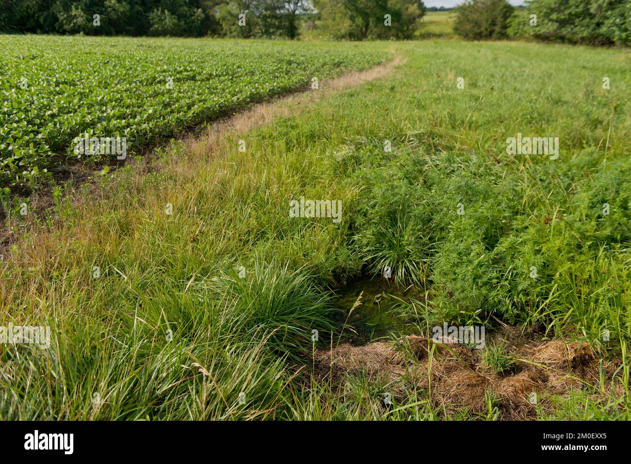 Office of the Administrator - Columbia Farm - landscape photographs ...