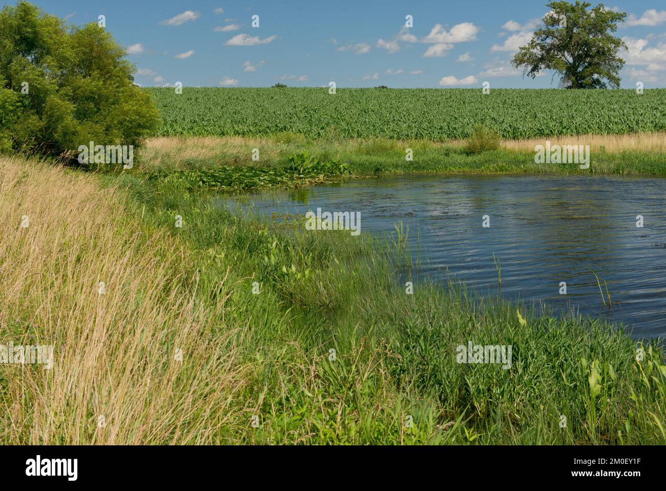 Office of the Administrator - Columbia Farm - landscape photographs ...