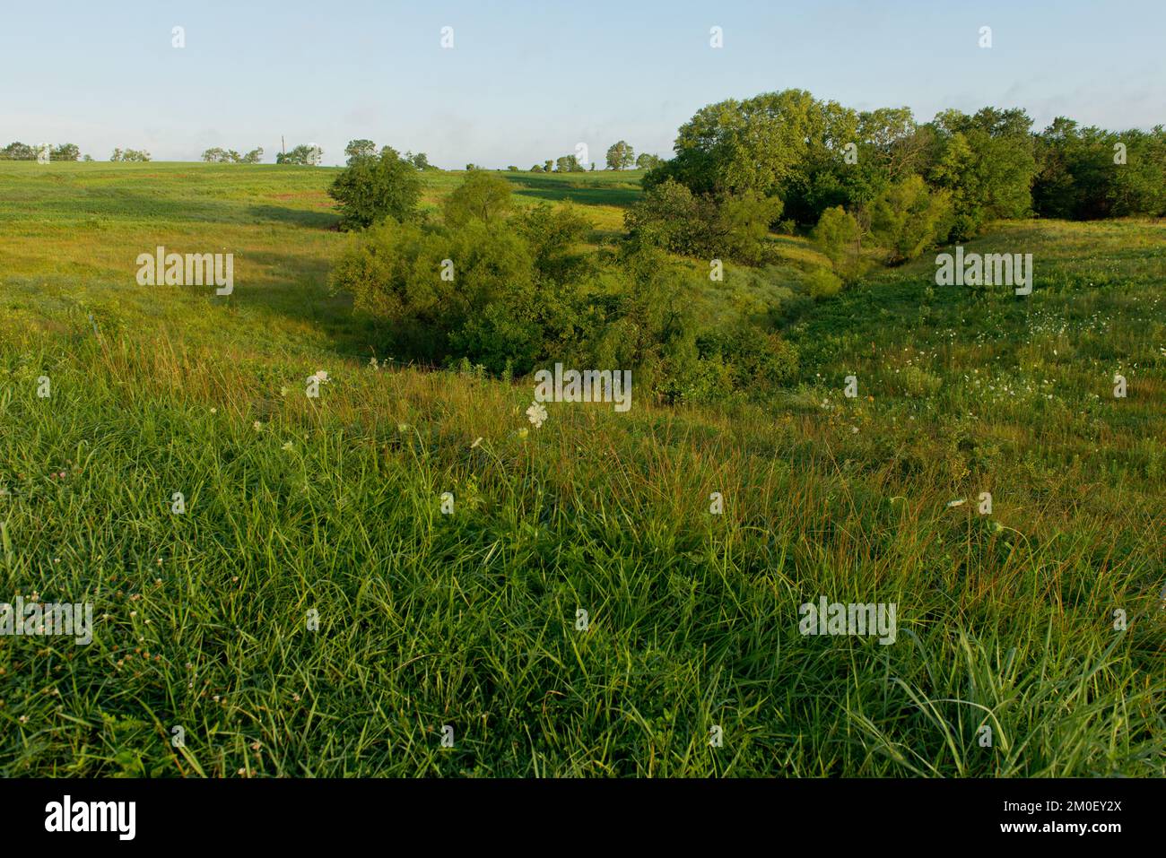 Office of the Administrator - Columbia Farm - landscape photographs ...