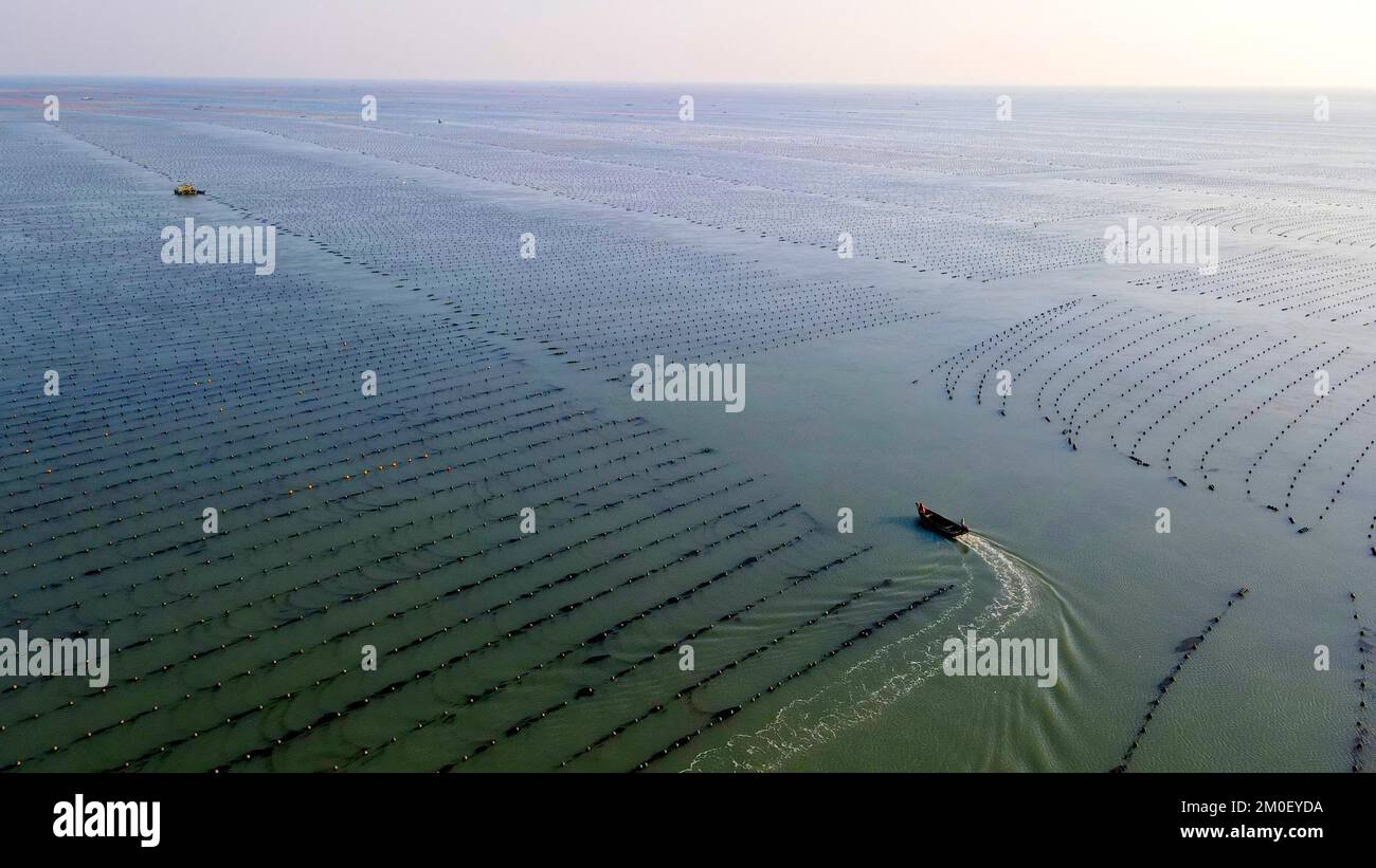Aerial photos show fishermen engaged in marine production at the marine ...