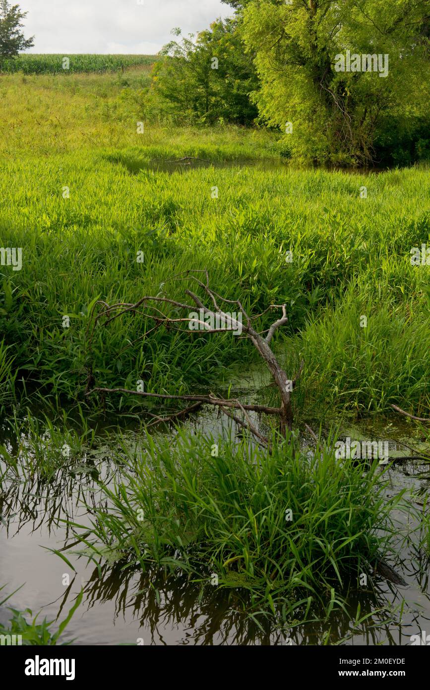 Office of the Administrator - Columbia Farm - landscape photographs ...