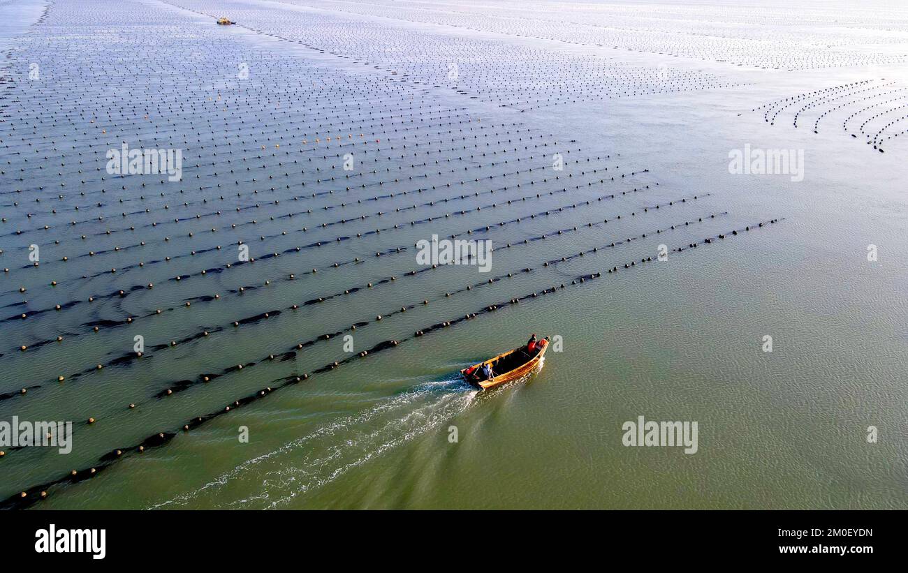 Aerial photos show fishermen engaged in marine production at the marine ...