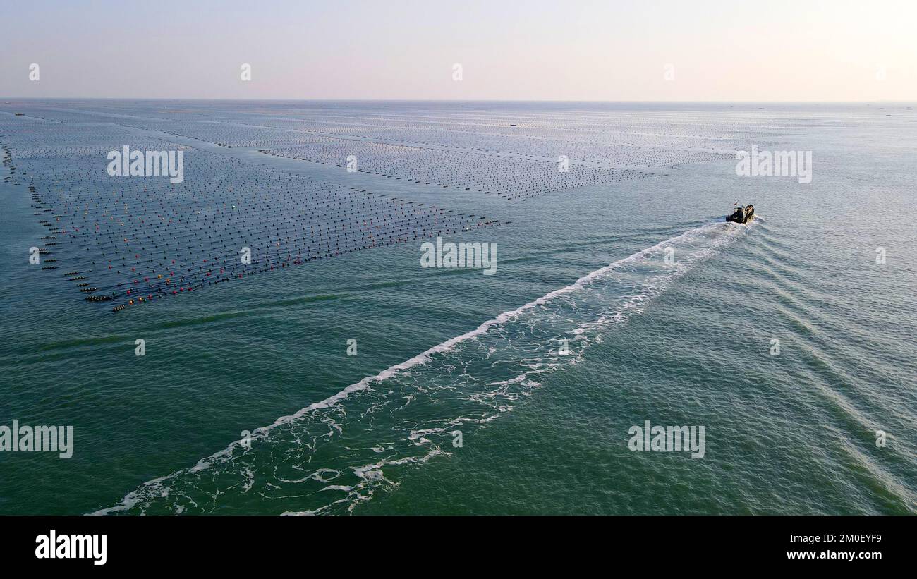 Aerial photos show fishermen engaged in marine production at the marine ...