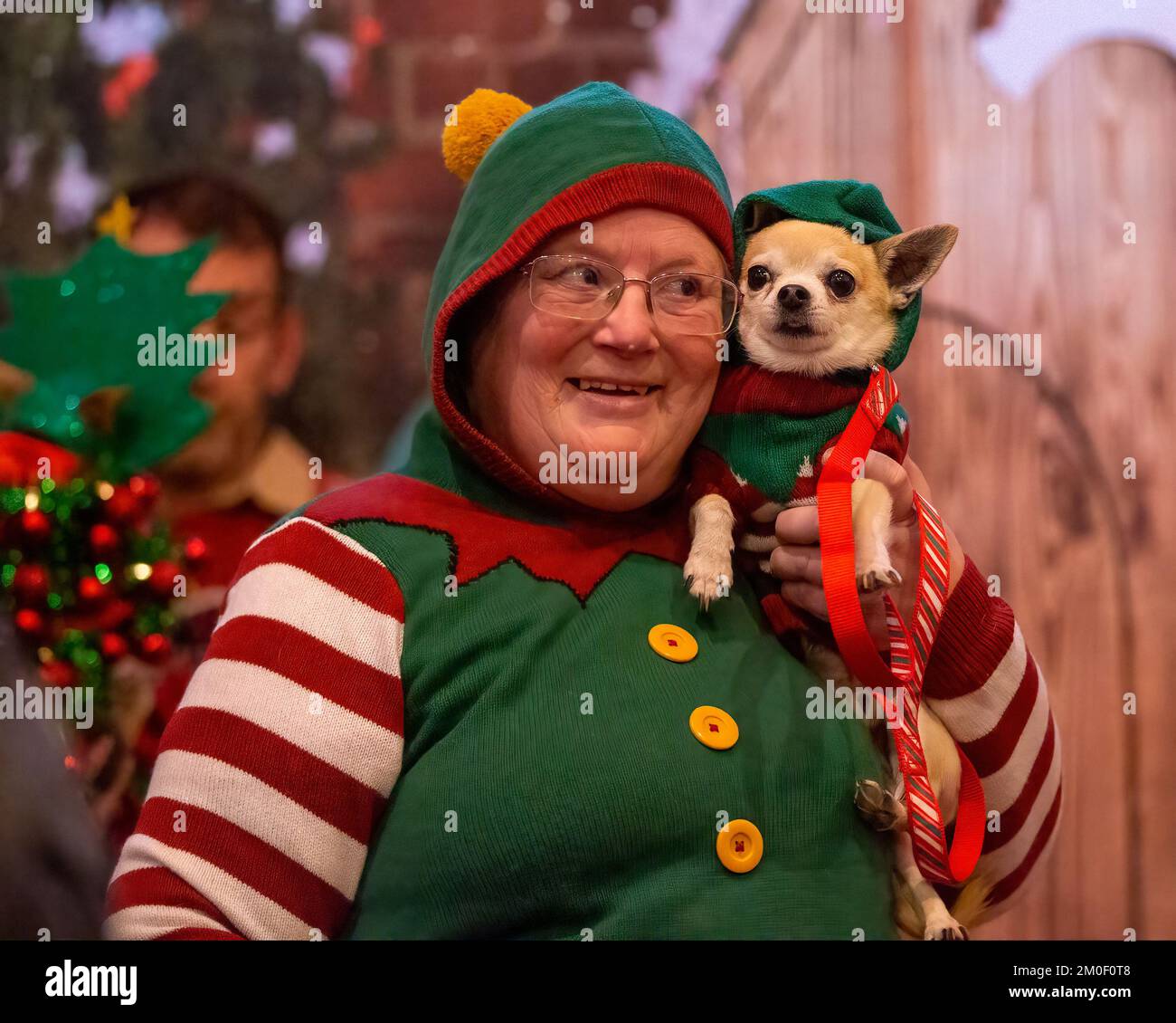 Christmas Outfits For Chihuahua at Sherry Stamps blog