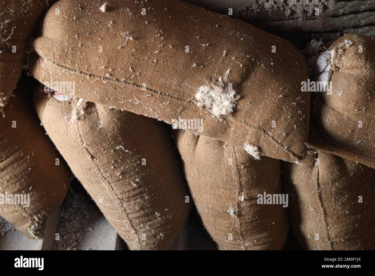 Cotton sack hi-res stock photography and images - Alamy