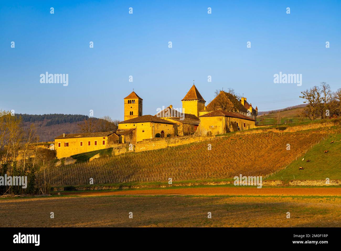 Chateau de Pierreclos castle, Saone-et-Loire departement, Burgundy ...