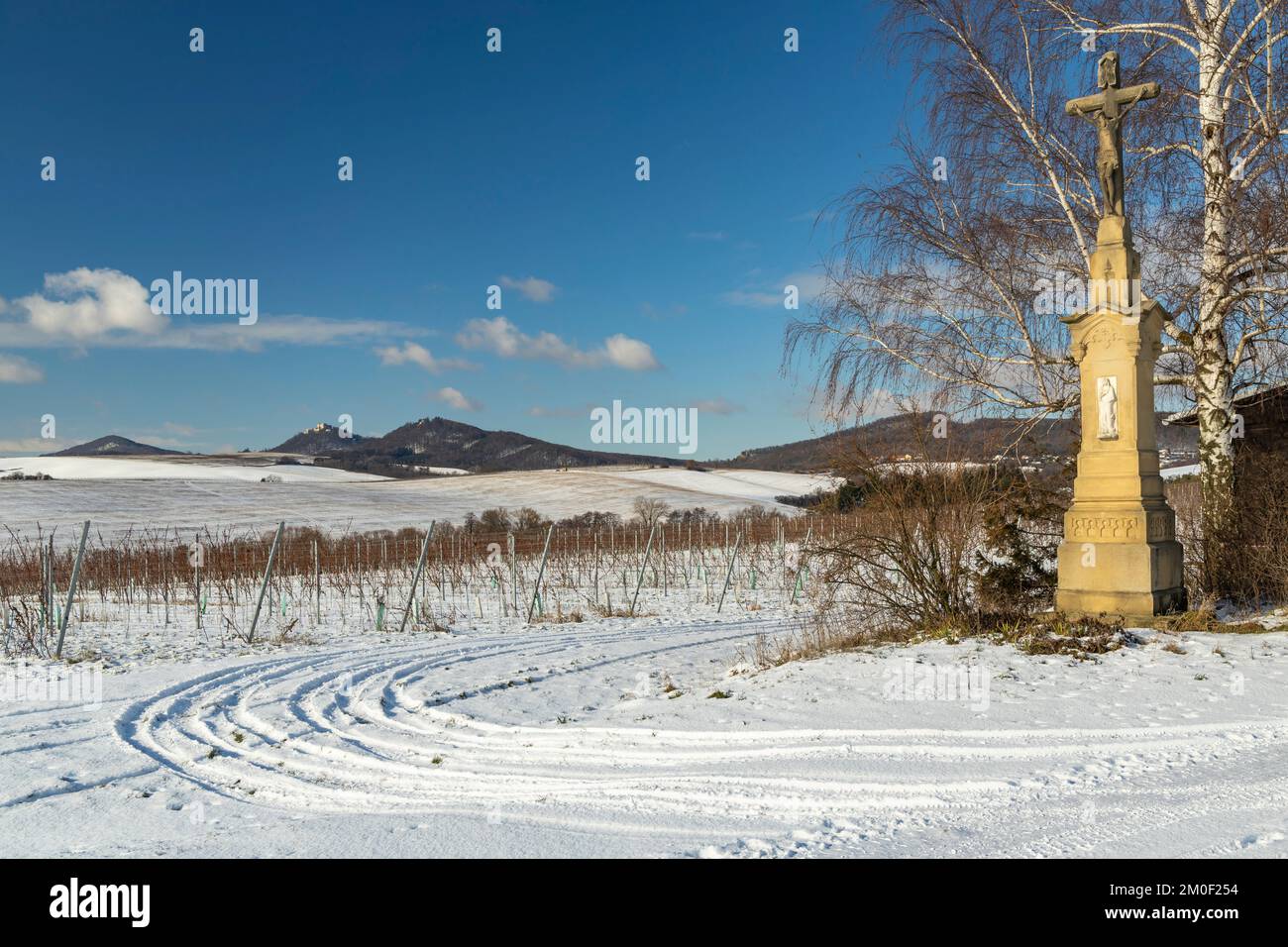 Landscape with vineyards, Slovacko, Southern Moravia, Czech Republic ...