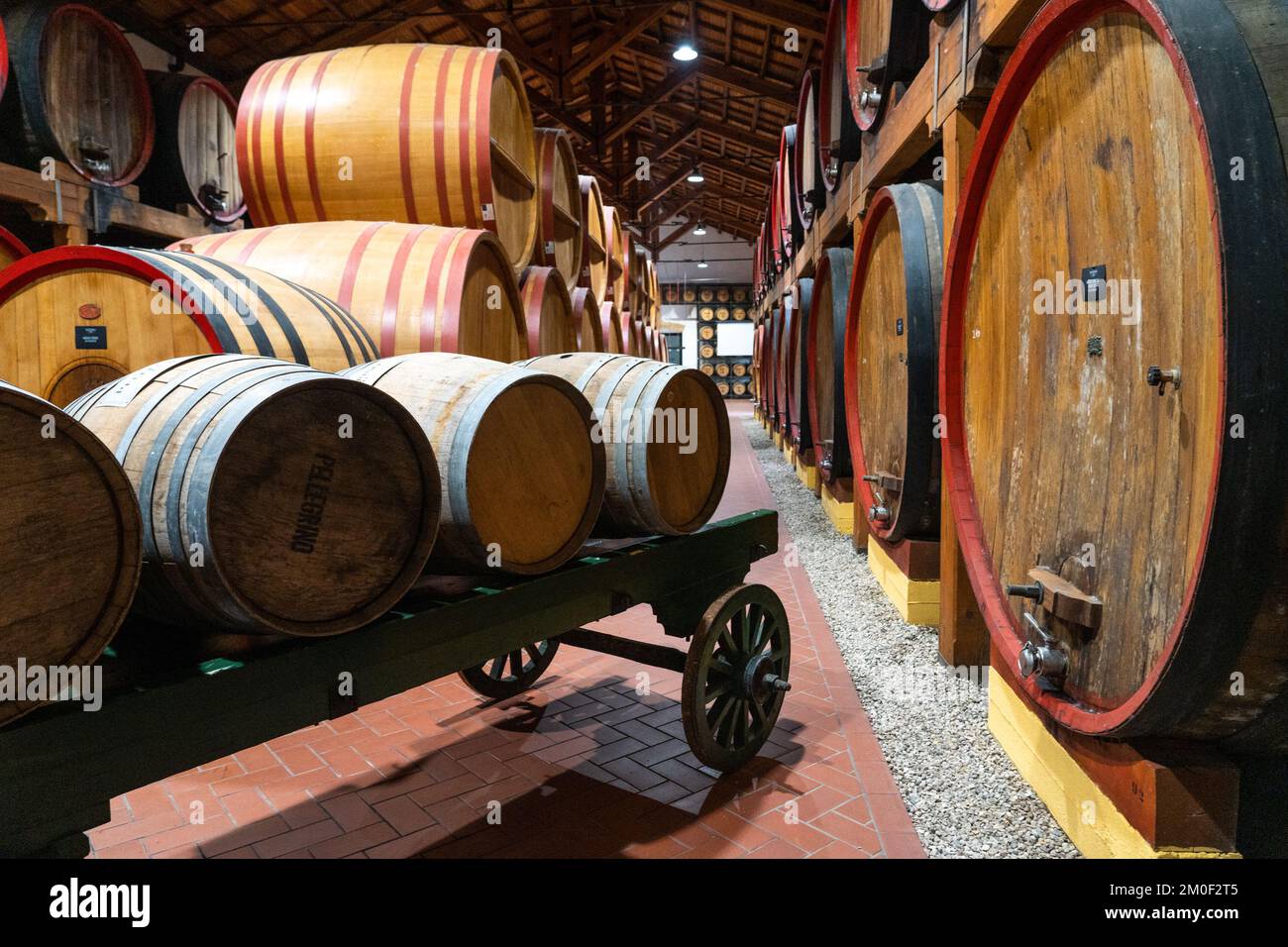 Oak barrels containing Marsala wine in the Cantine Pellegrino, a ...