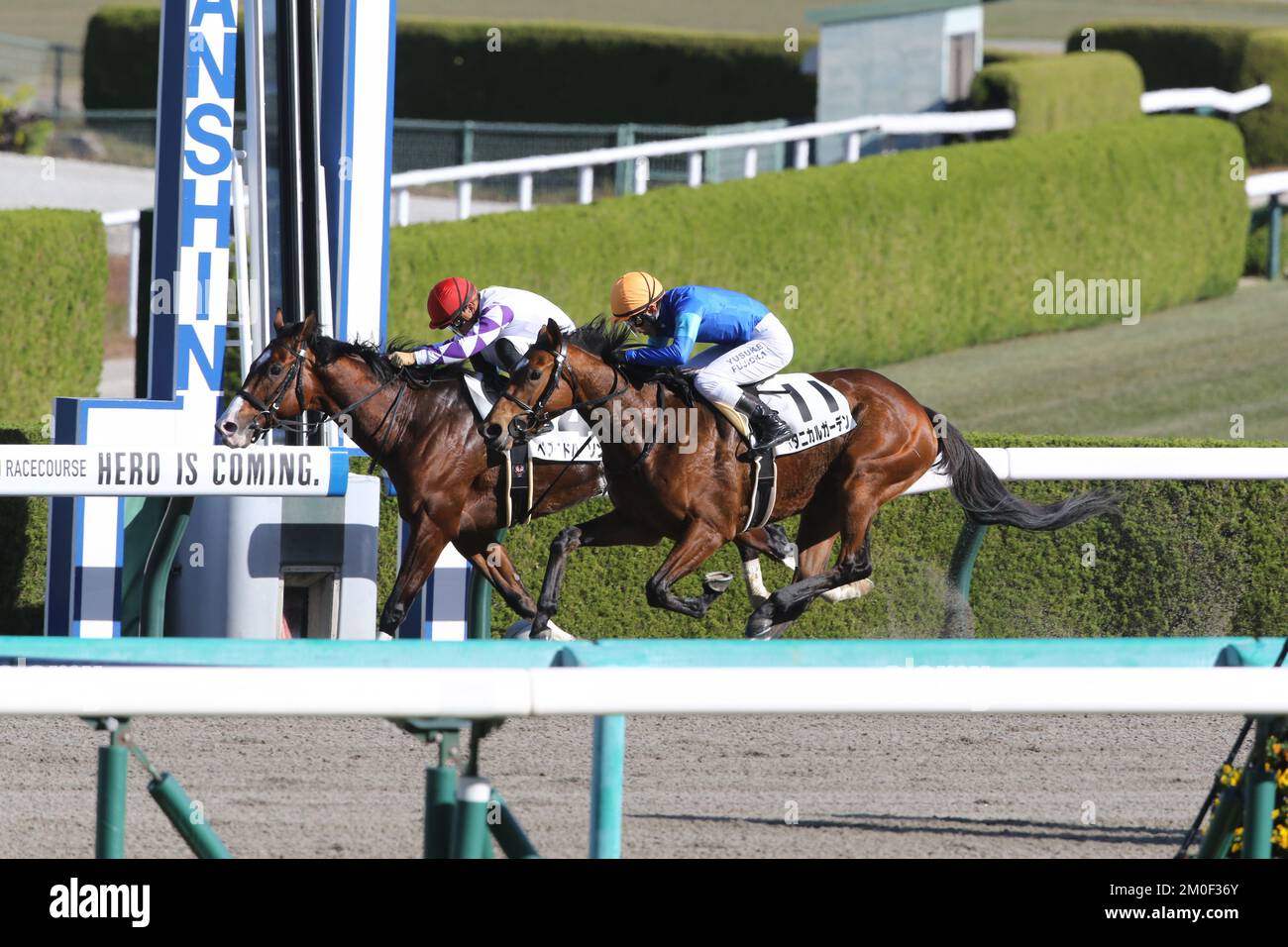 Hyogo, Japan. 3rd Dec, 2022. Peptide Hudson and Yuga Kawada win the Hanshin 2R at Hanshin ...