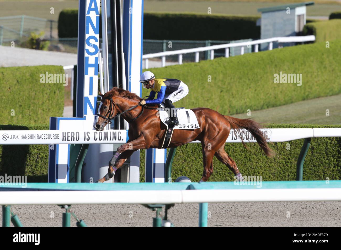 Hyogo, Japan. 3rd Dec, 2022. Yuttitham and Yuga Kawada win the Hanshin 1R at Hanshin Racecourse ...