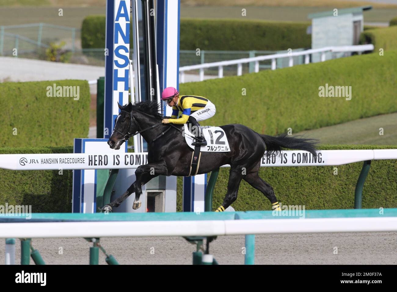 Hyogo, Japan. 3rd Dec, 2022. Hrungnir and Yuga Kawada win the Hanshin 5R Make Debut Hanshin at ...