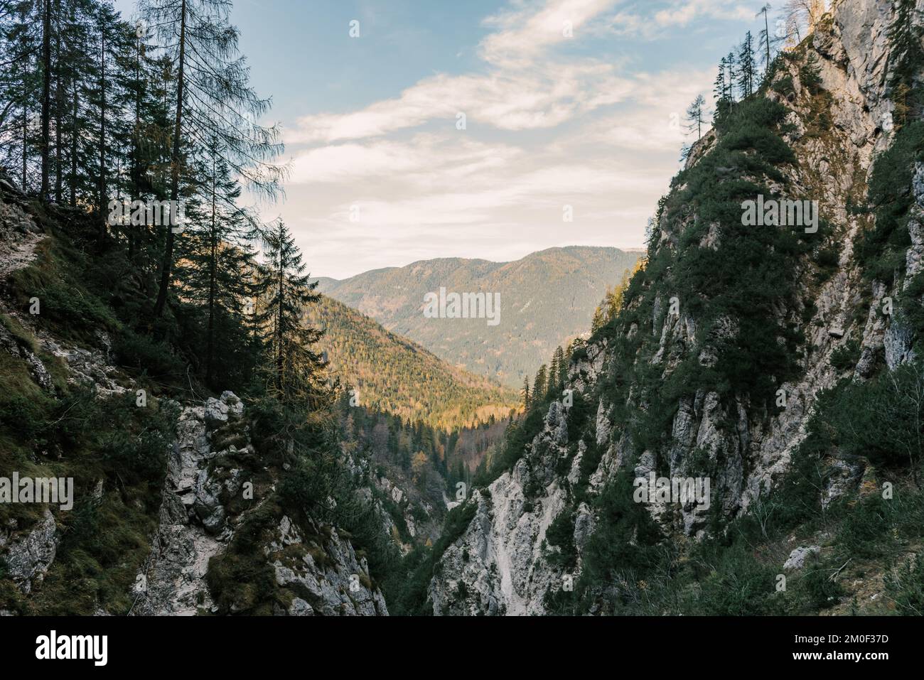 Beautiful wilderness in mountains in autumn. Rocky ravine with amazing ...