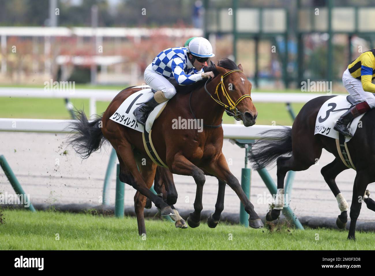 Aichi, Japan. 4th Dec, 2022. One Direct and Christophe Lemaire win the ...