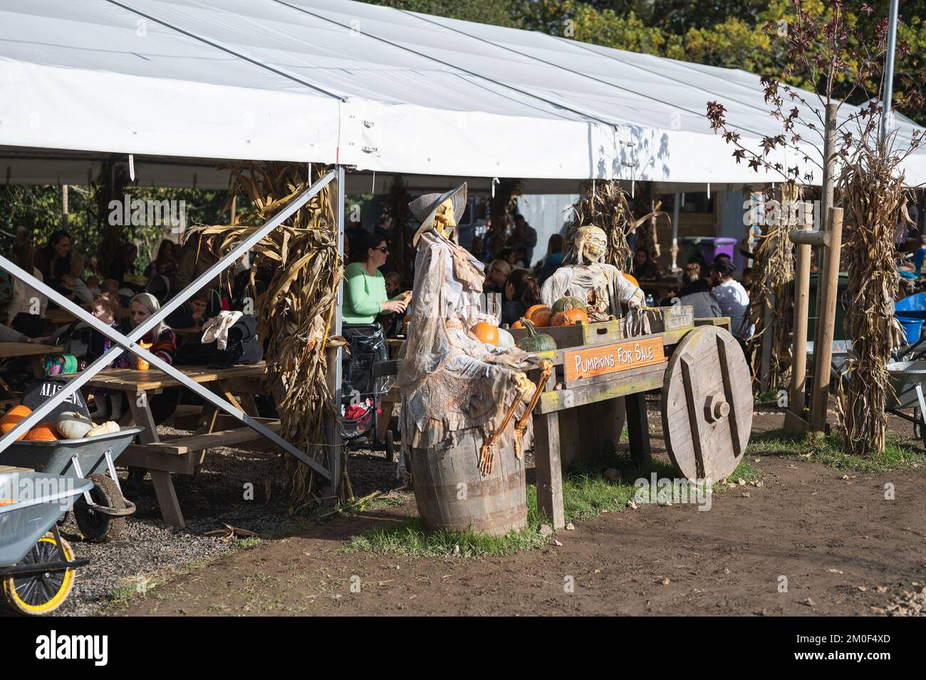 Tulleys farm hi-res stock photography and images - Alamy