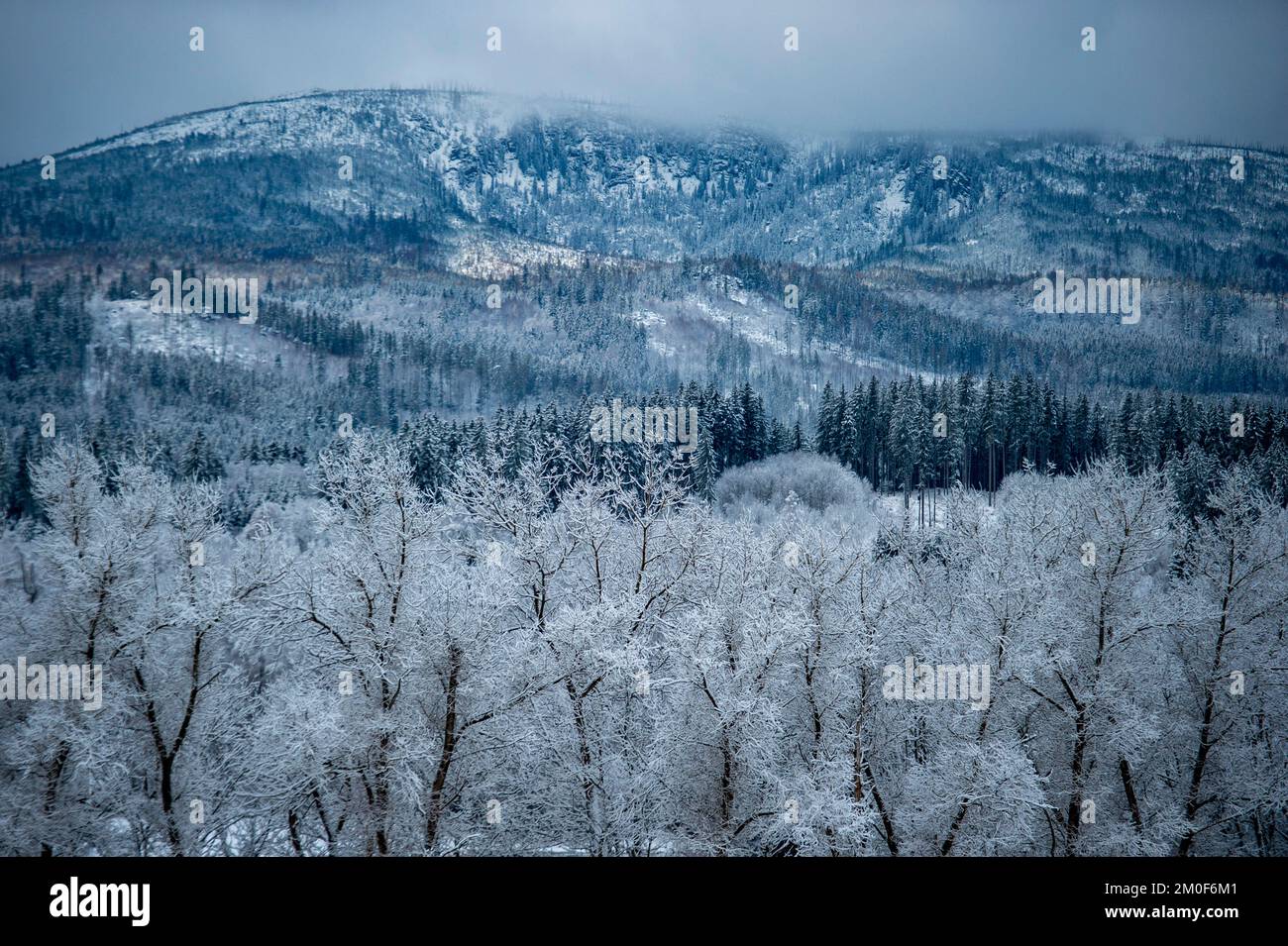 Sumava, Plechy. 6th Dec, 2022. The snow-covered highest peak of the ...
