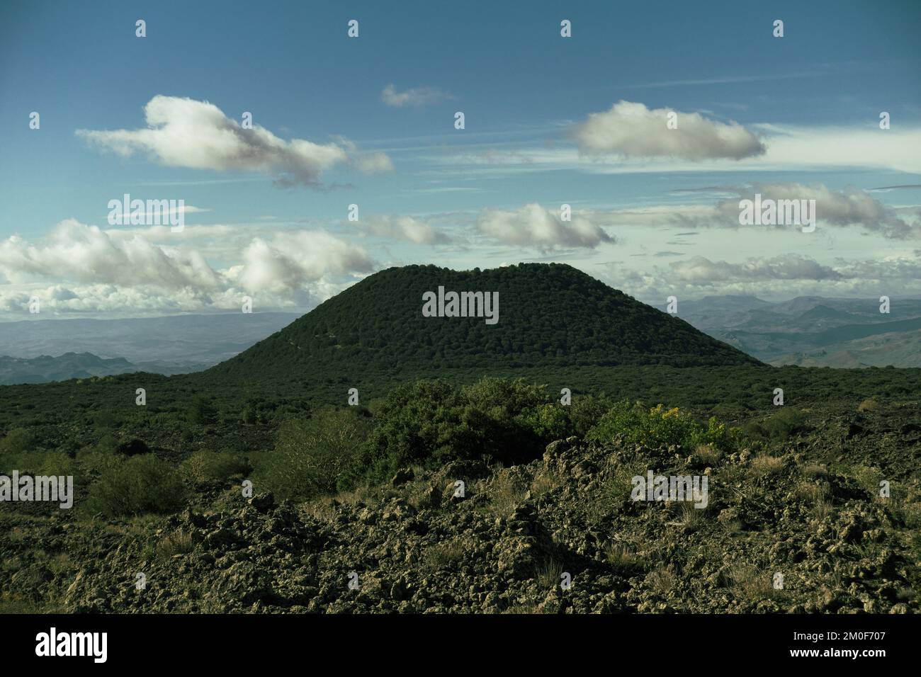 old lateral volcano covered by oak trees in Sicily, Etna Park, Italy ...
