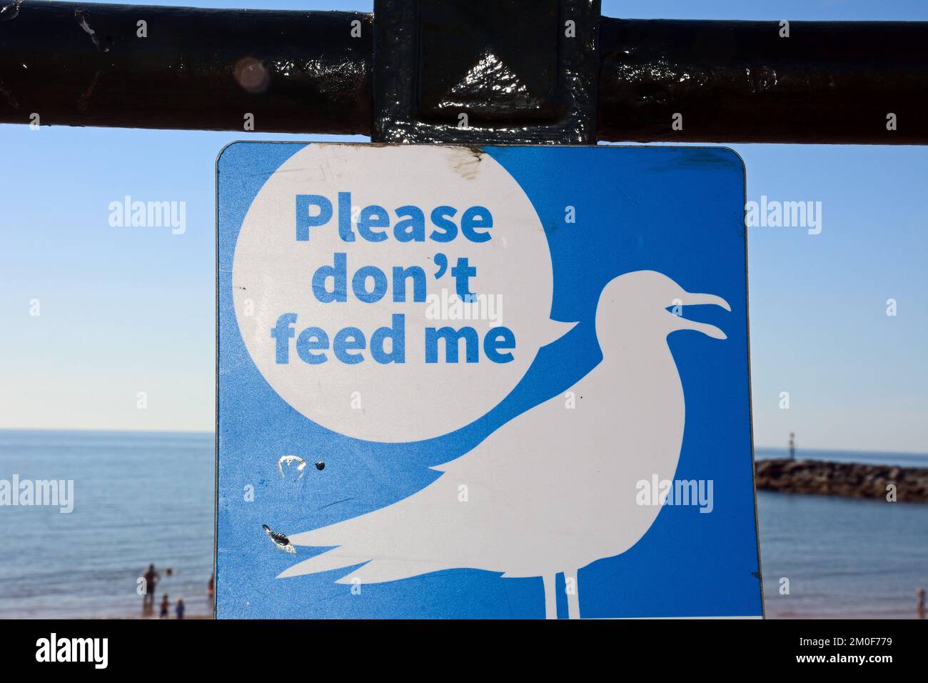 A blue and white Please don’t feed me sign for seagulls alongside the ...
