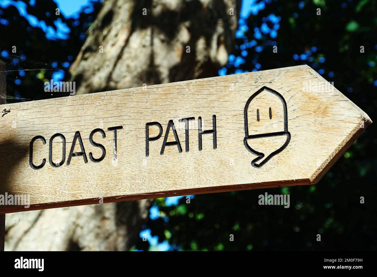 A wooden coast path sign in a wooded area of the town, Sidmouth, Devon ...