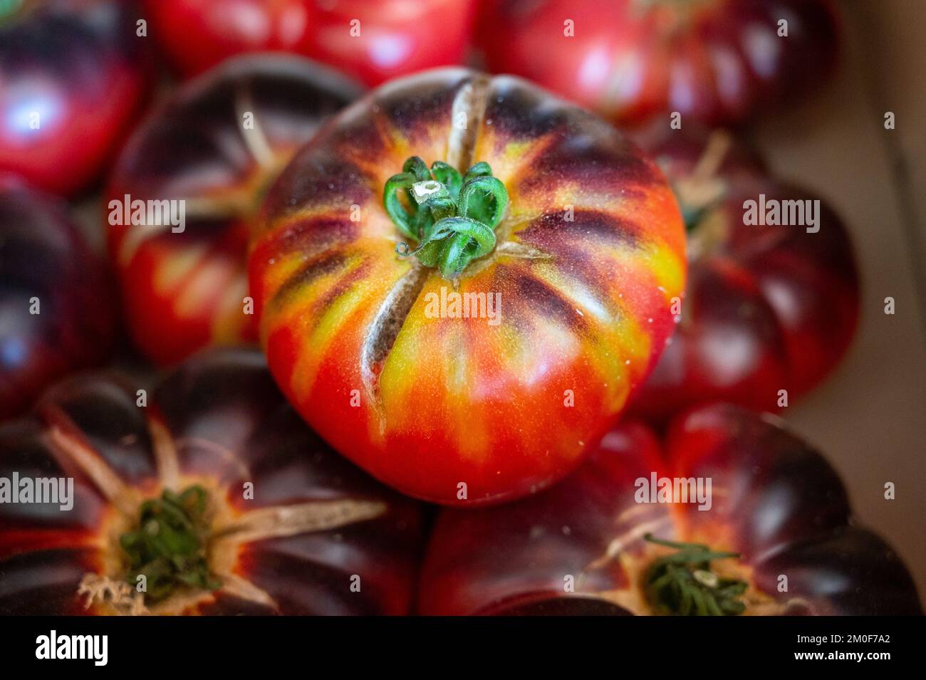 Fresh ripe colorful french tomatoes vegetables from Provence in wooden ...