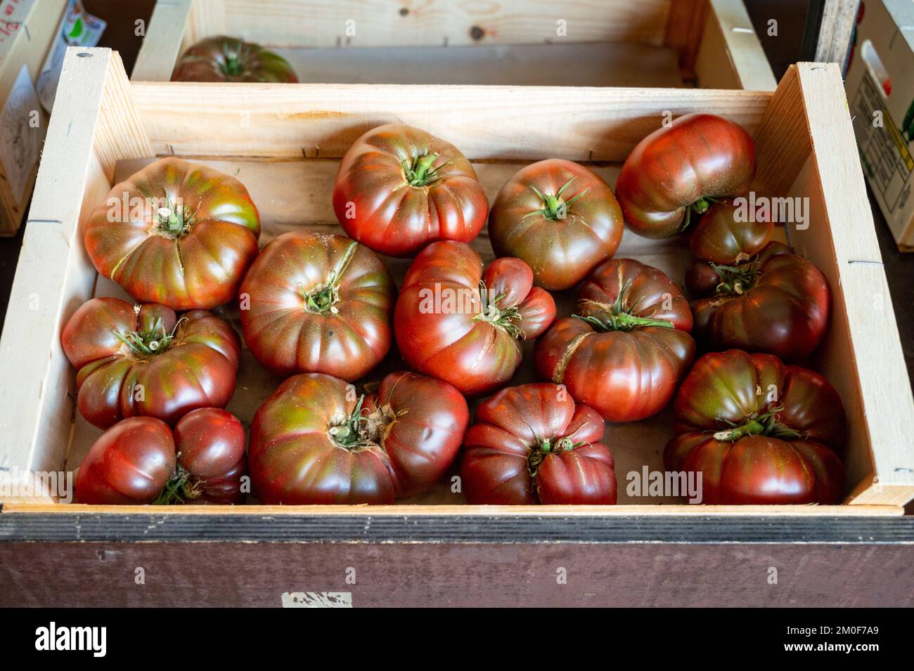 Fresh ripe colorful french tomatoes vegetables from Provence in wooden ...