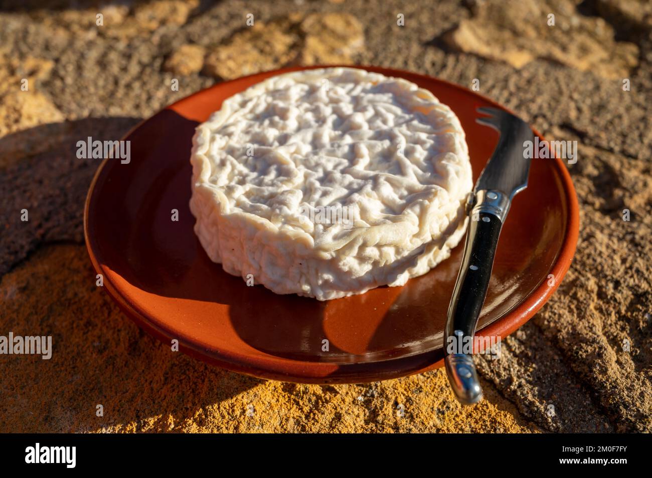 French cheeses collection, Saint-Félicien cow's milk cheese from Rhône ...