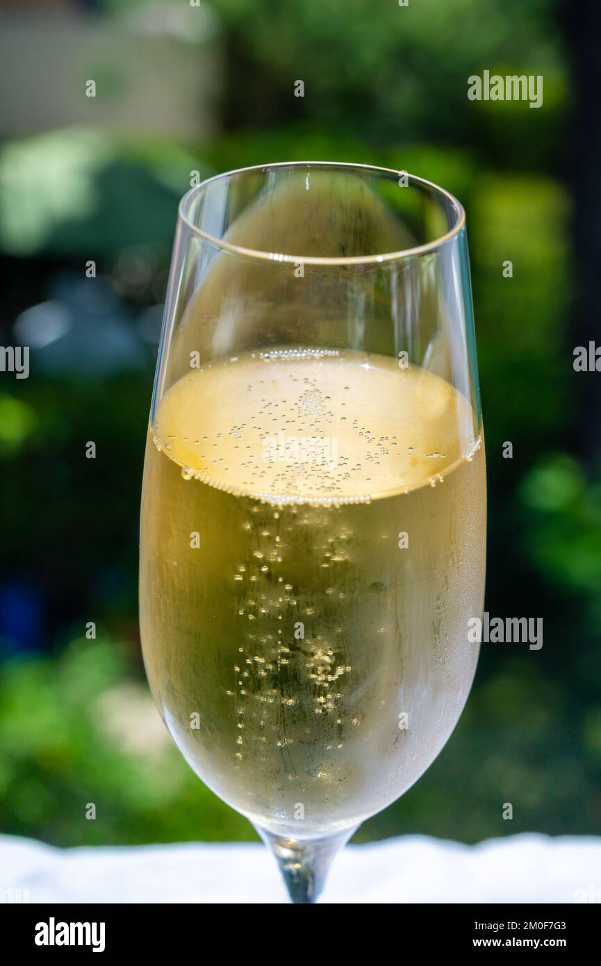 Summer party, drinking of French brut champagne sparkling wine in ...