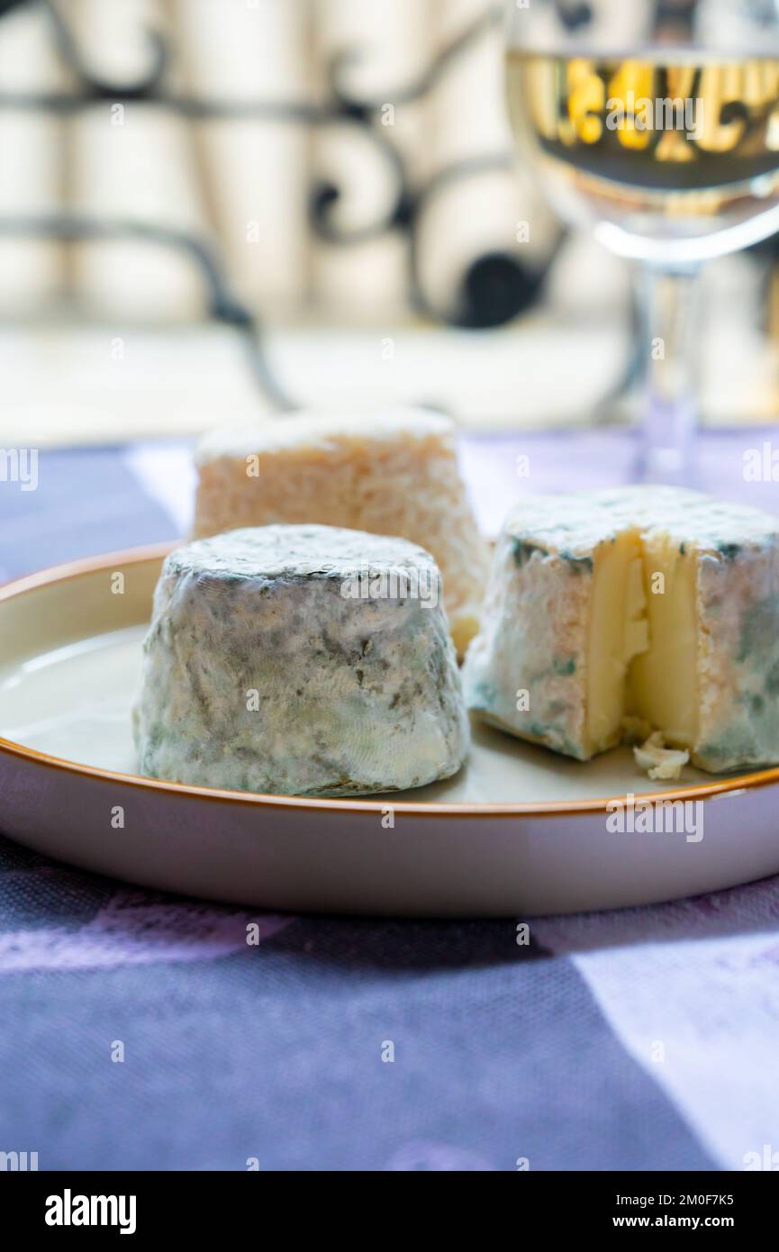 Small french goat cheeses, matured and with grey mold from Macon ...