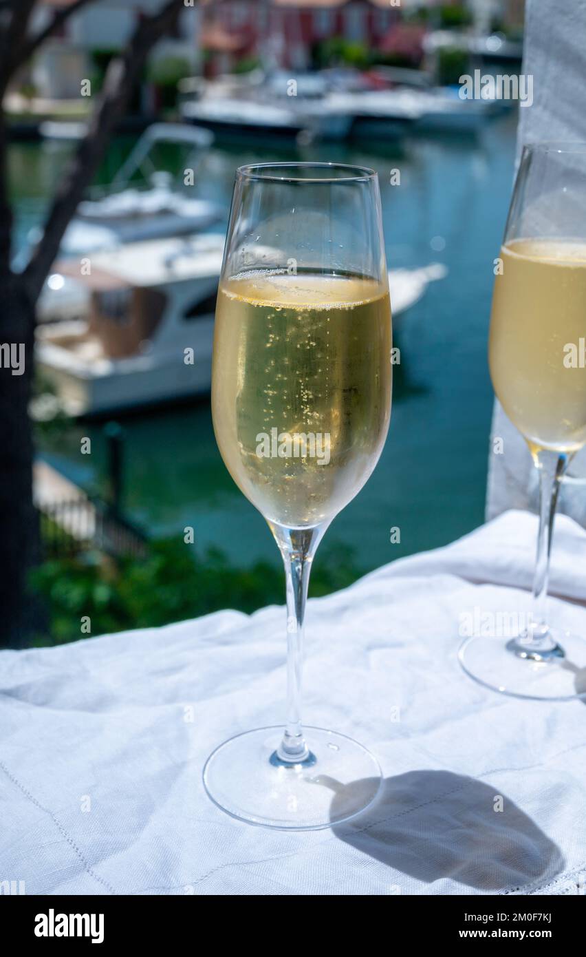 Summer party, drinking of French brut champagne sparkling wine in ...