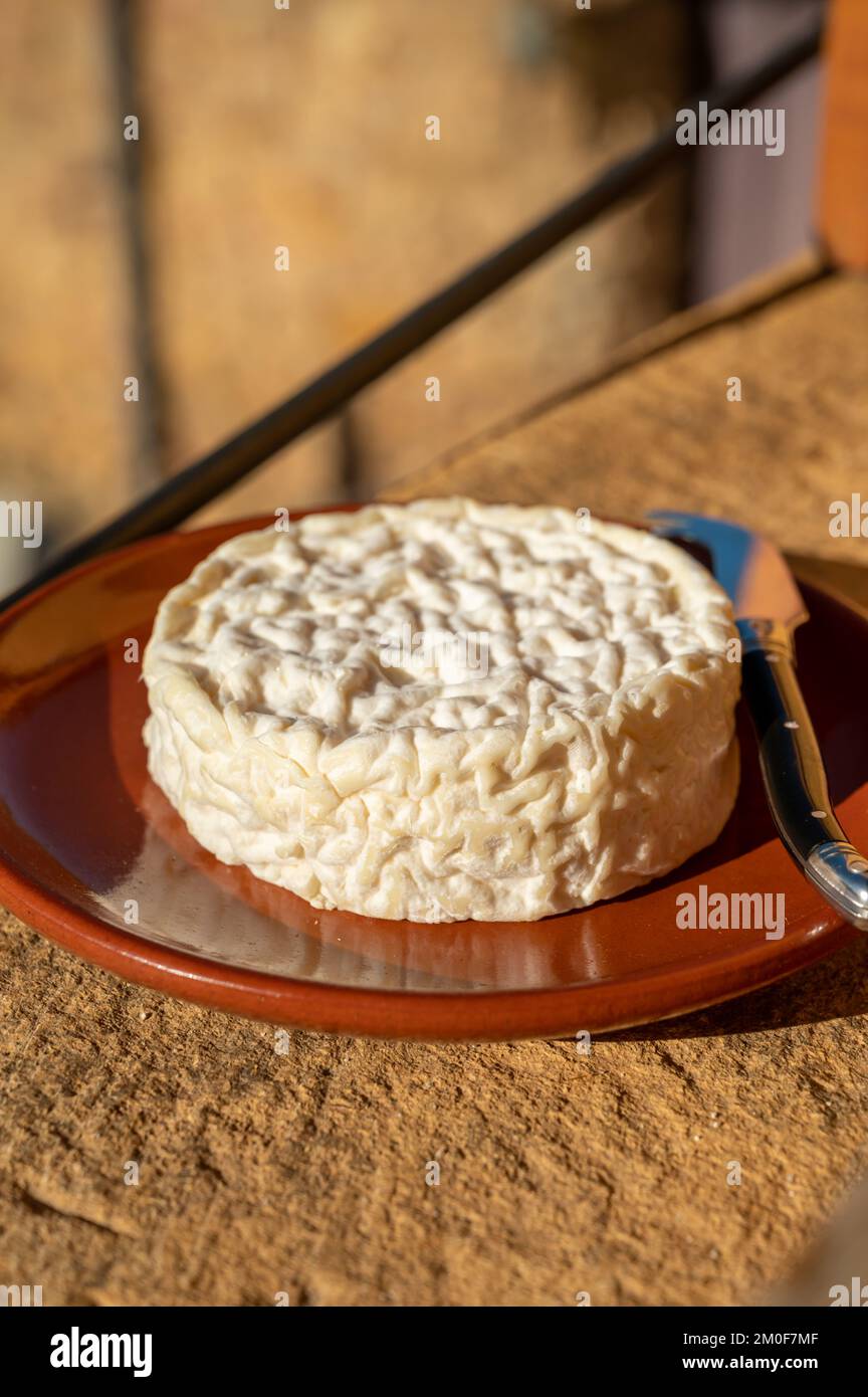 French cheeses collection, Saint-Félicien cow's milk cheese from Rhône ...