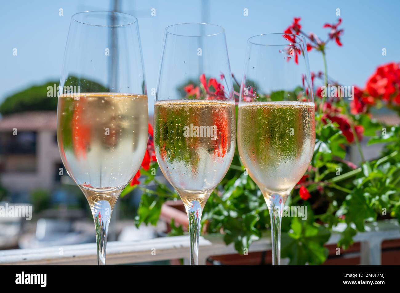 New year party, drinking of French brut champagne sparkling wine in ...