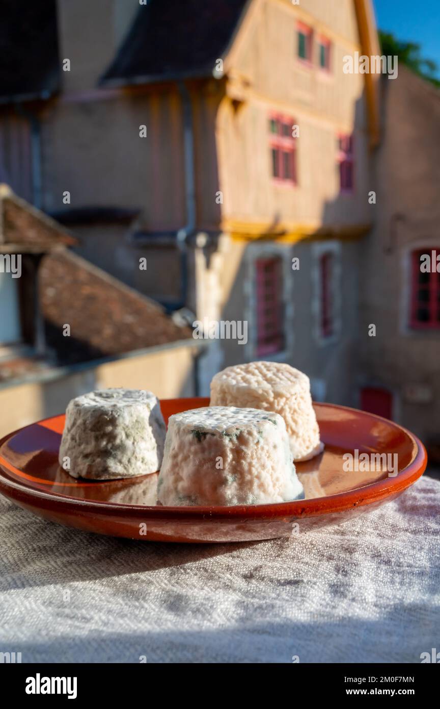 Small french goat cheeses, matured and with grey mold from Macon ...