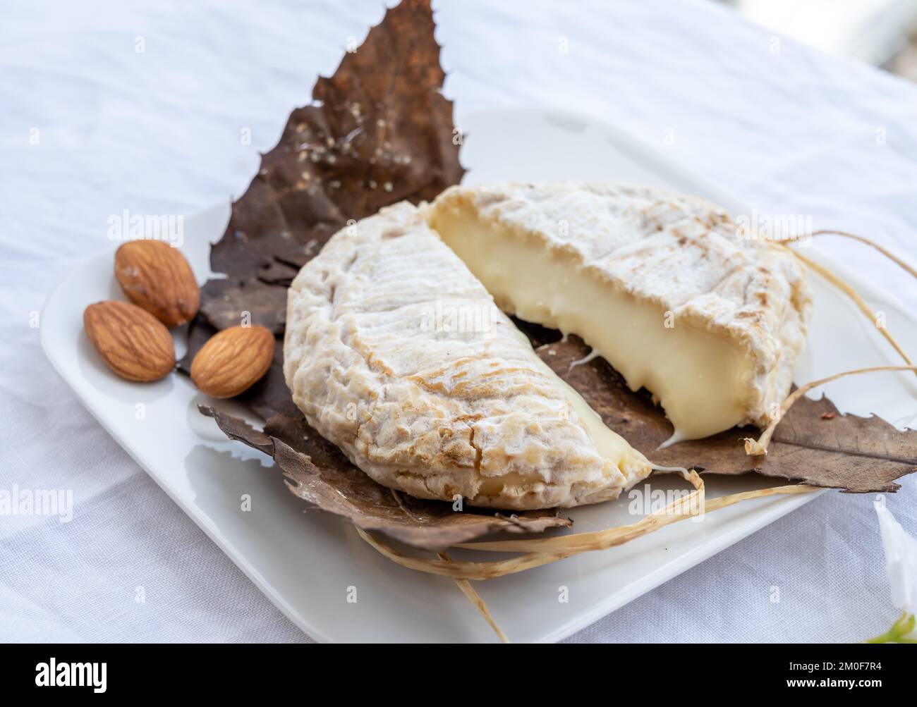 French mountains cheese banon made in Alpes-de-haute-provence wrapped ...