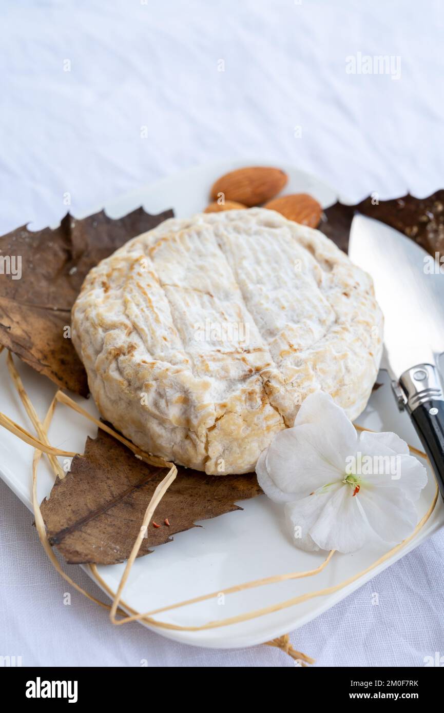 French mountains cheese banon made in Alpes-de-haute-provence wrapped ...