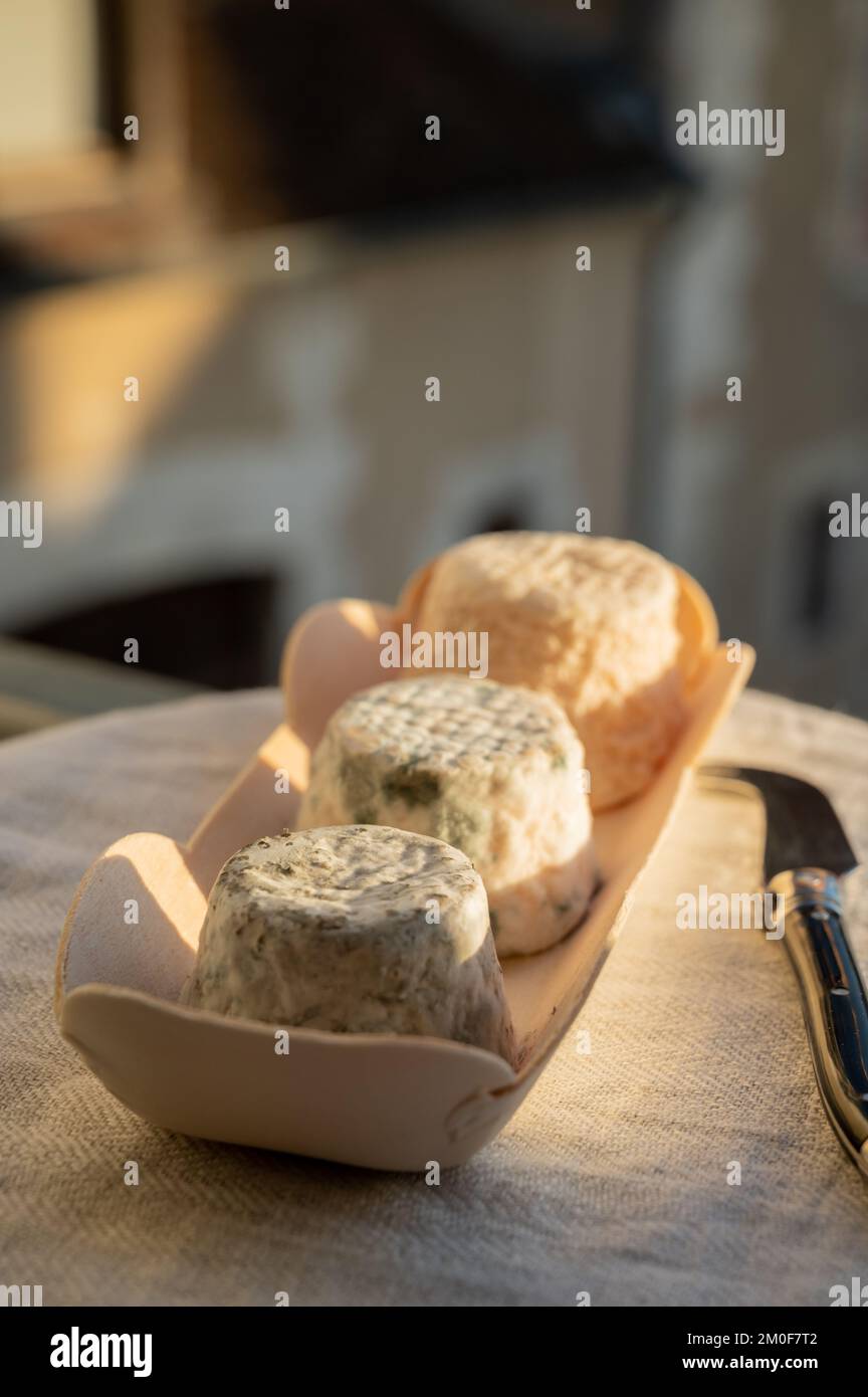 Small french goat cheeses, matured and with grey mold from Macon ...