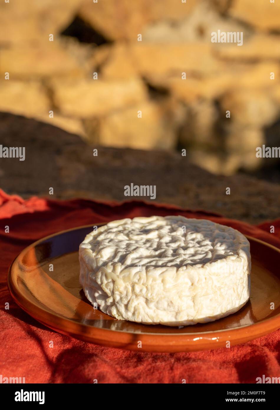 French cheeses collection, Saint-Félicien cow's milk cheese from Rhône ...