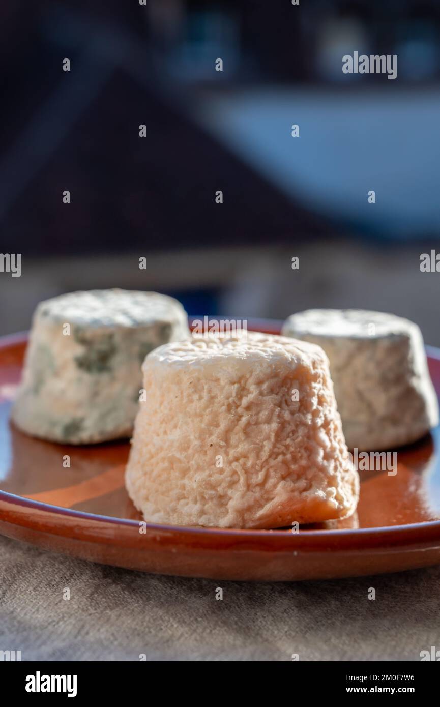 Small french goat cheeses, matured and with grey mold from Macon ...