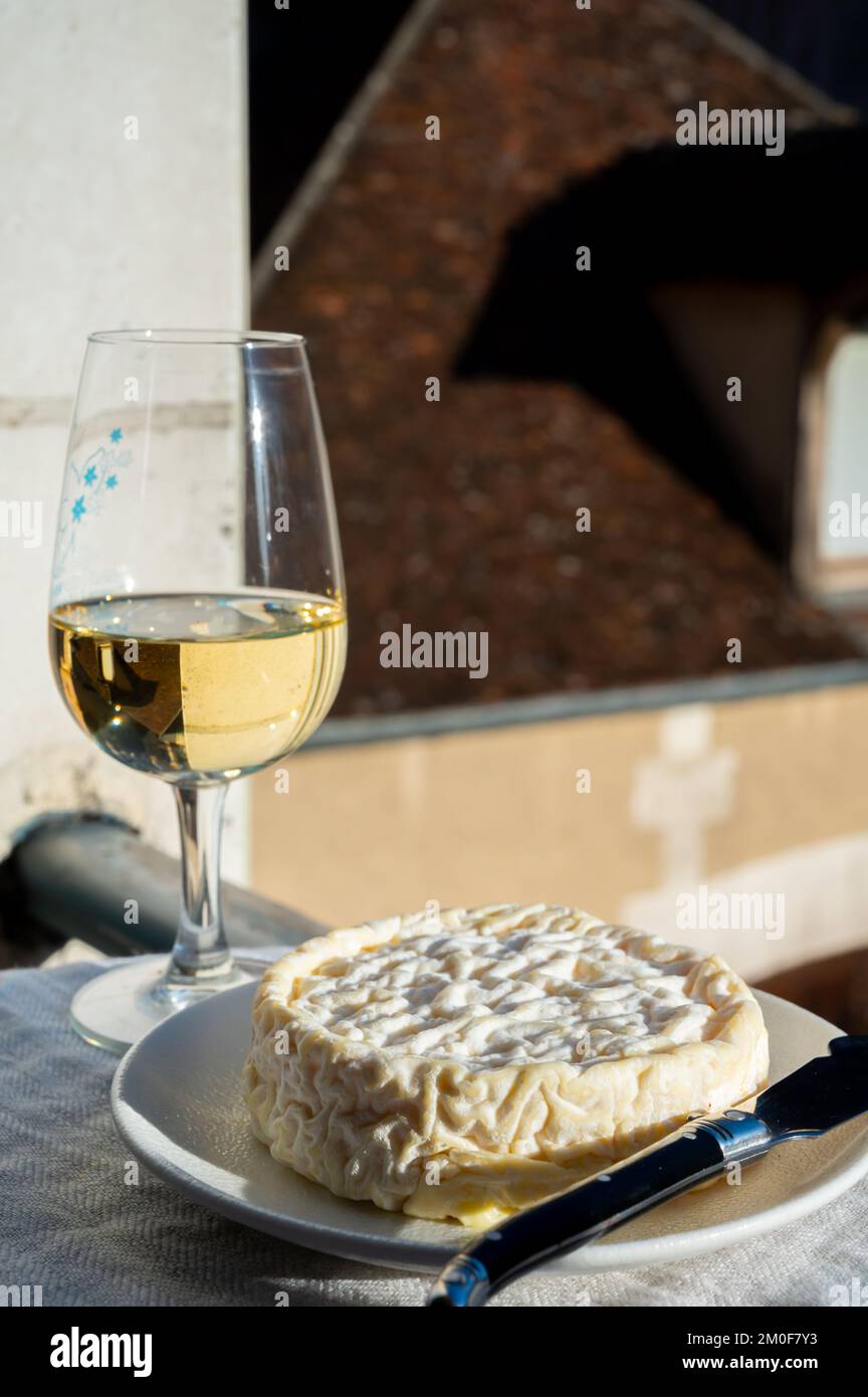 French wine and cheese pairing, glass of white chablis wine served with ...