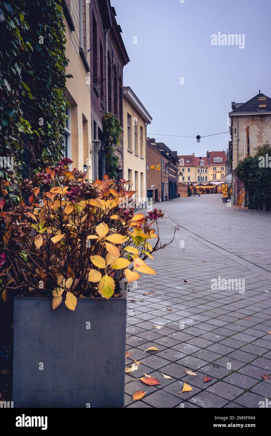 Beautiful buildings of the old center of Valkenburg Limburg, The ...