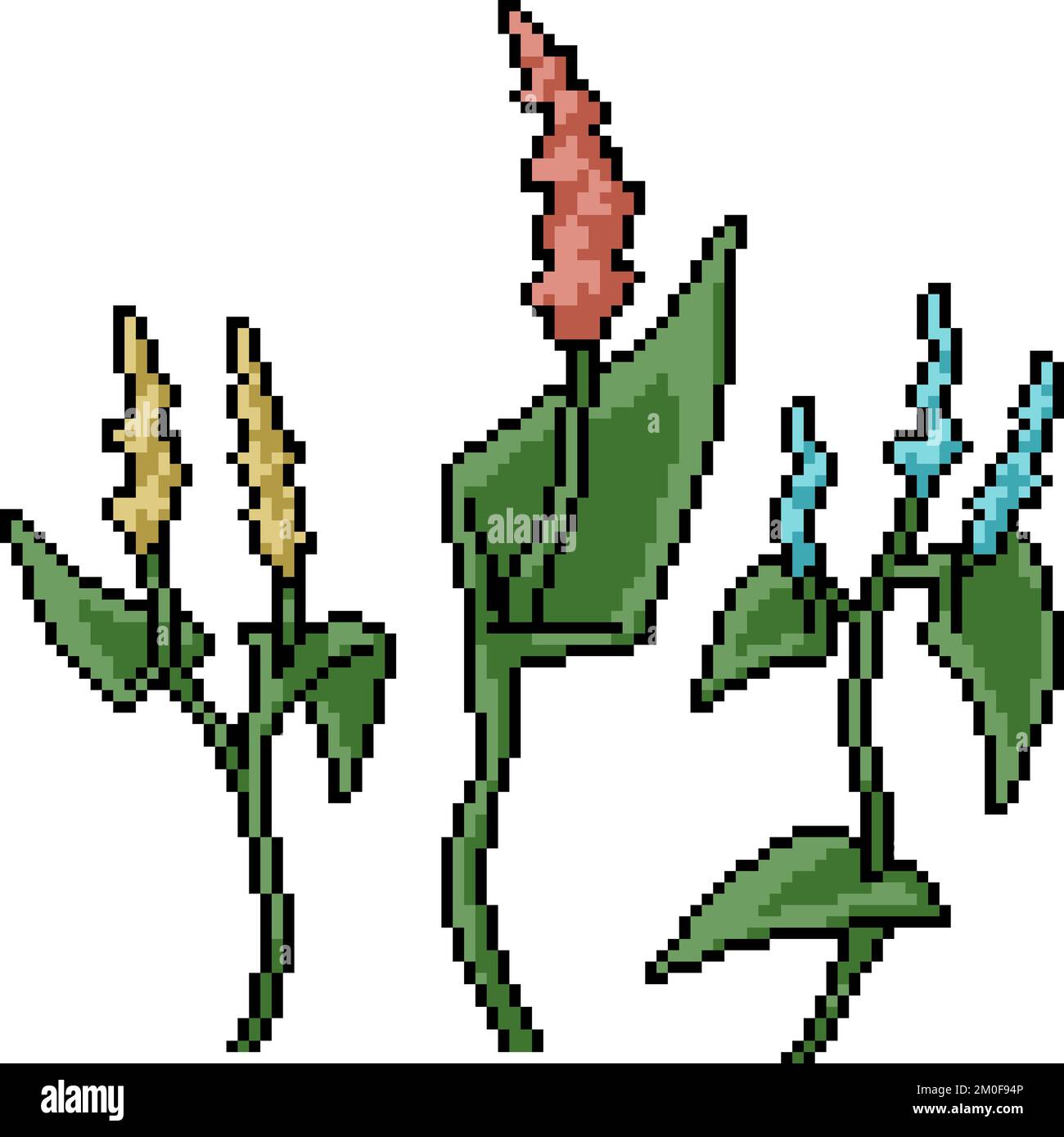 Herb pixel art hi-res stock photography and images - Alamy
