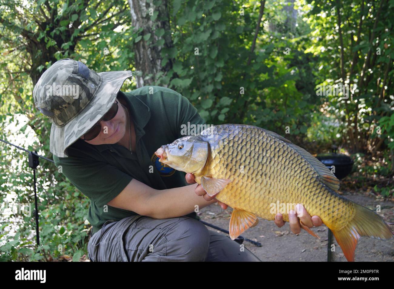 carp, common carp, European carp (Cyprinus carpio), scale carp freshly ...