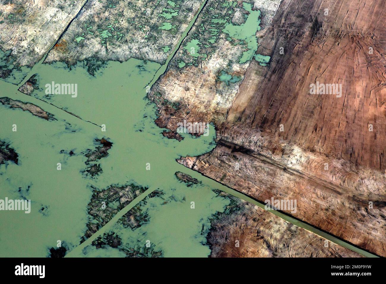 Nature restoration in Averbode Bos en Heide, aerial picture, Belgium ...