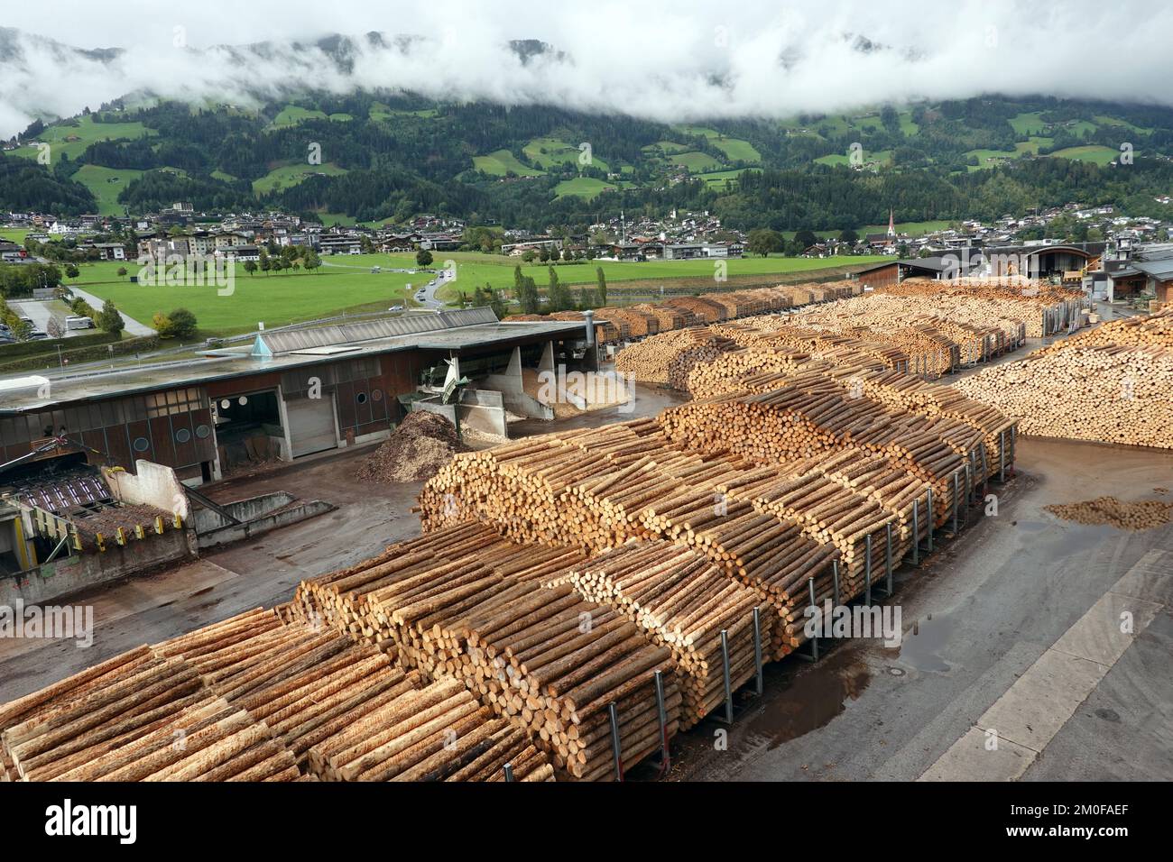 log storage and processing in the sawmill, Austria, Tyrol Stock Photo ...