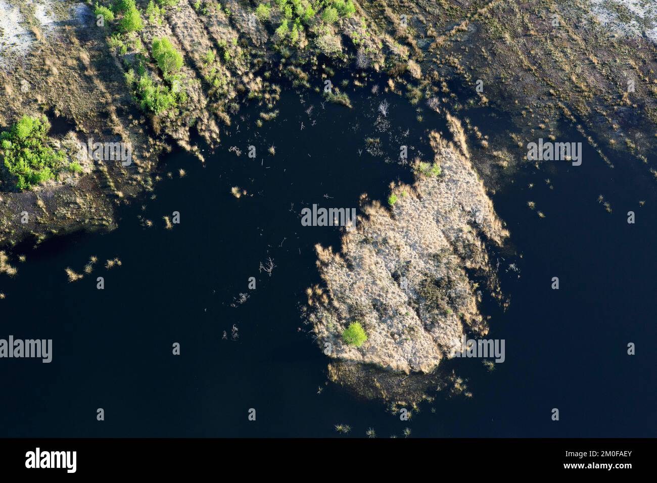 Bos en heide hi-res stock photography and images - Alamy