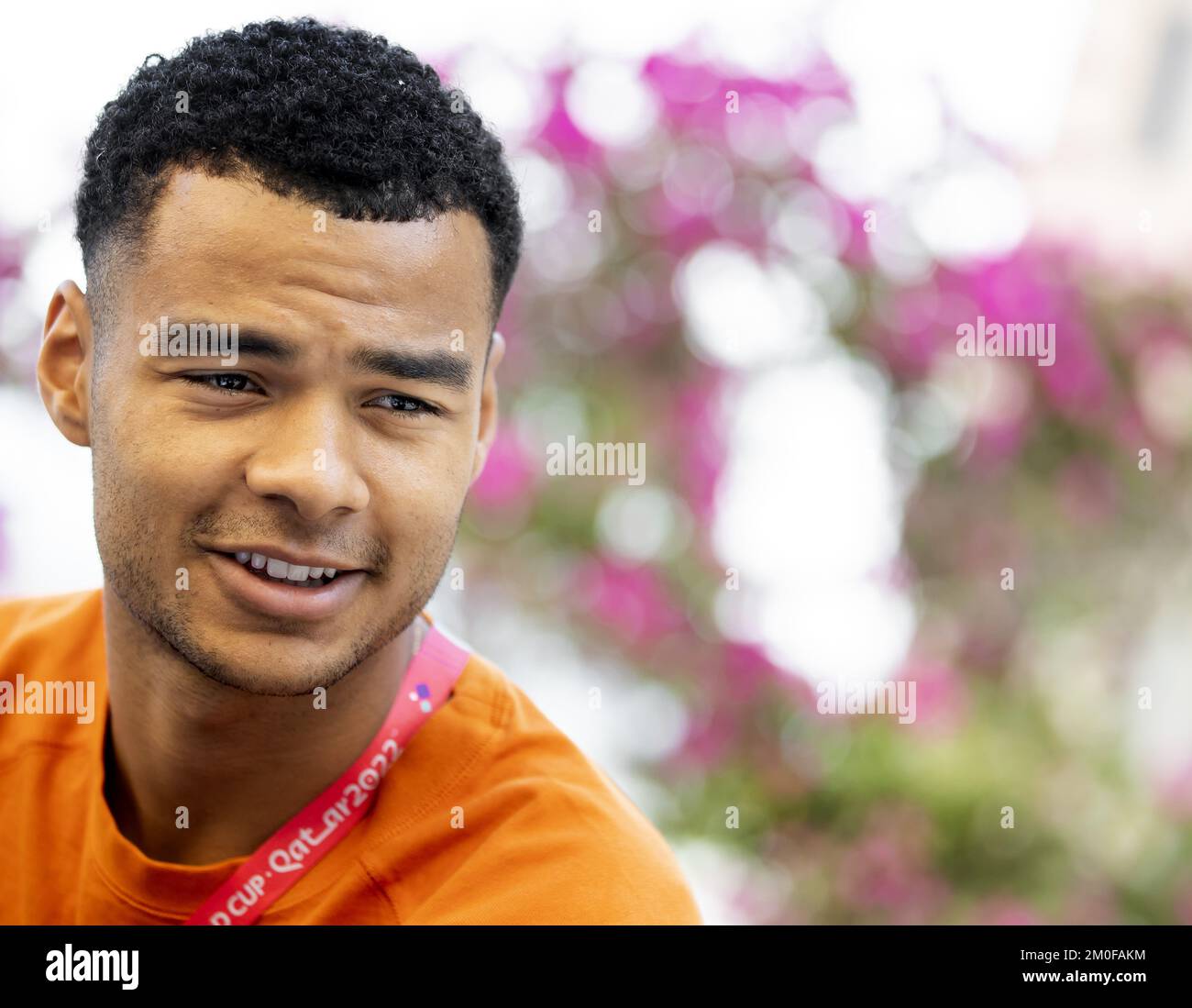 DOHA - Cody Gakpo of Holland during a media moment of the Dutch ...